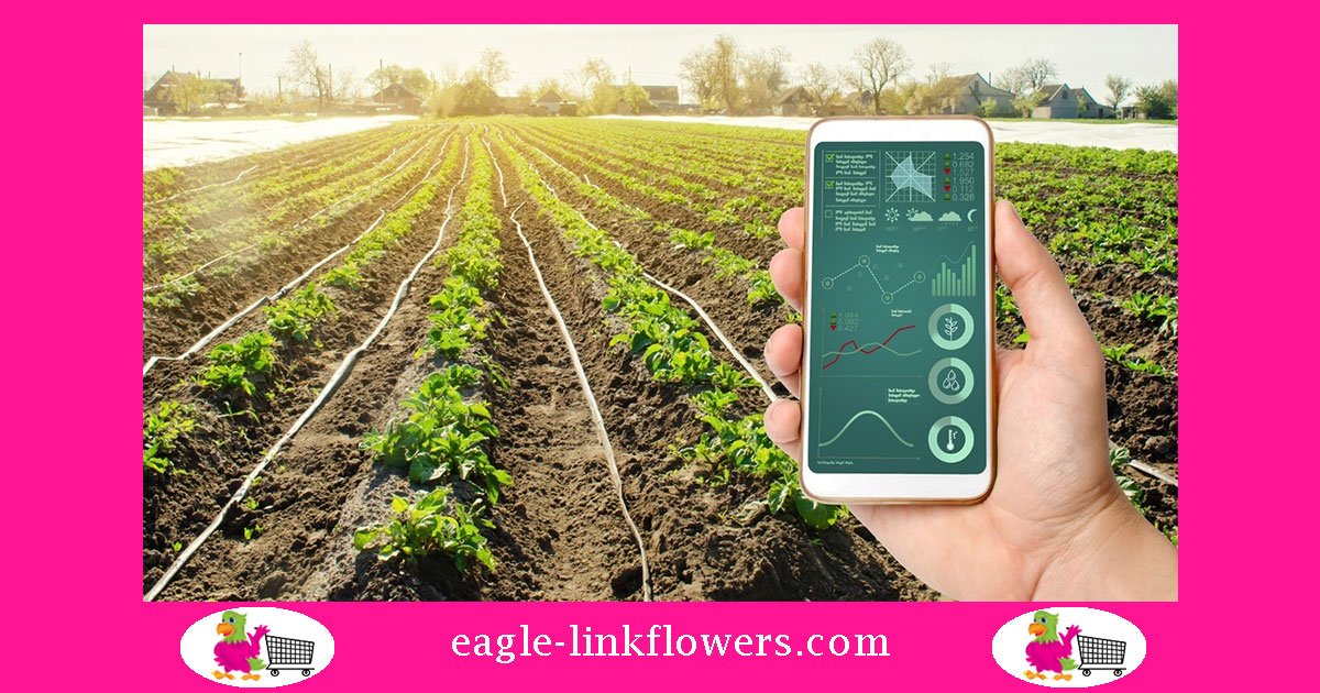 How Can Floriculture Artificial Intelligence (AI) Help SmallHolder Cut ...