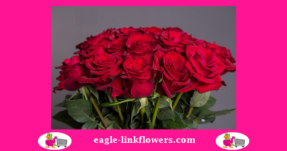 evered-roses - Eagle-Link Flowers