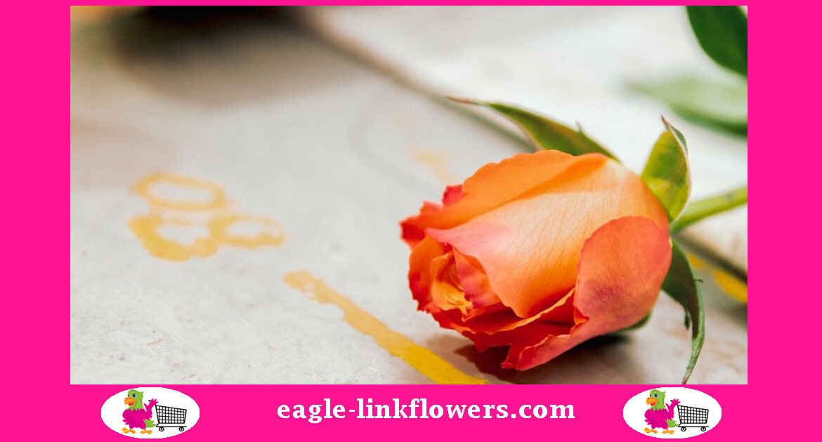 Grading roses for export - Eagle-Link Flowers