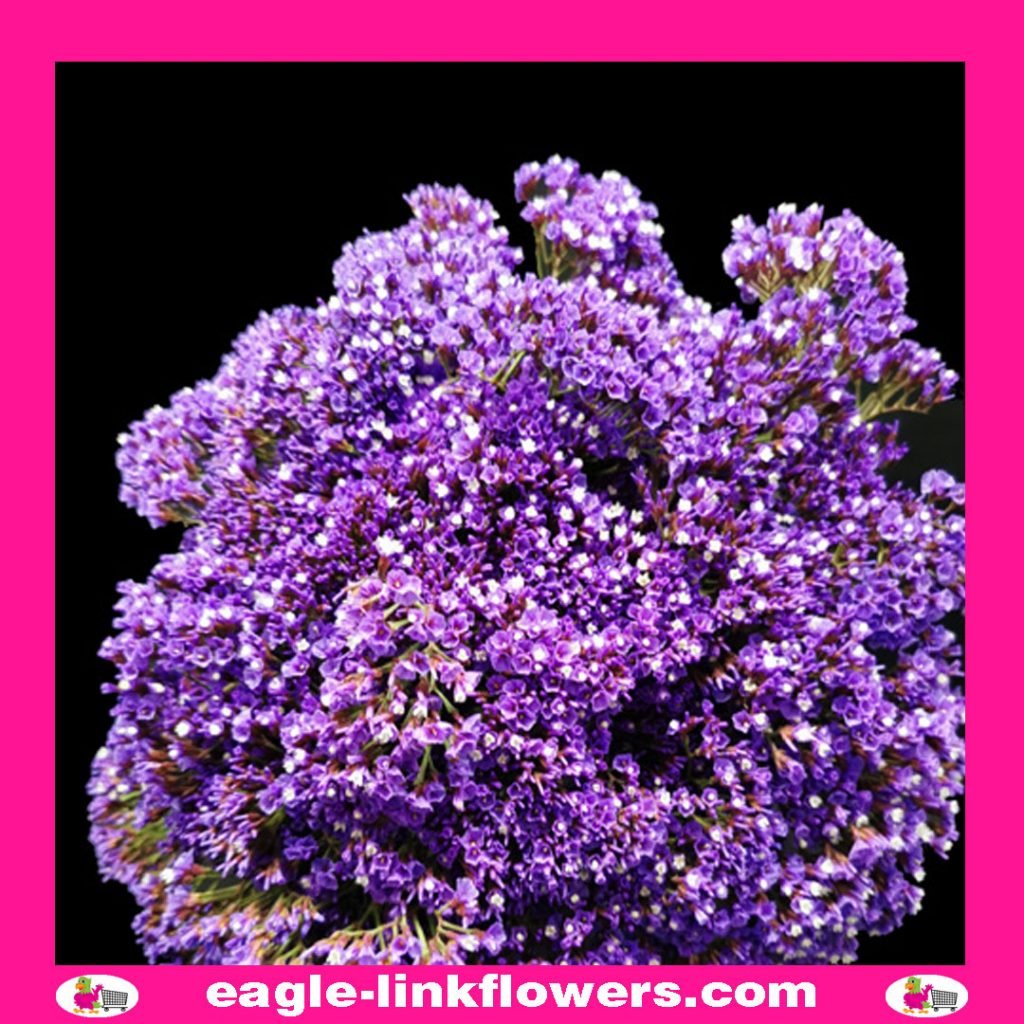 Fresh Cut Flowers - Eagle-Link Flowers