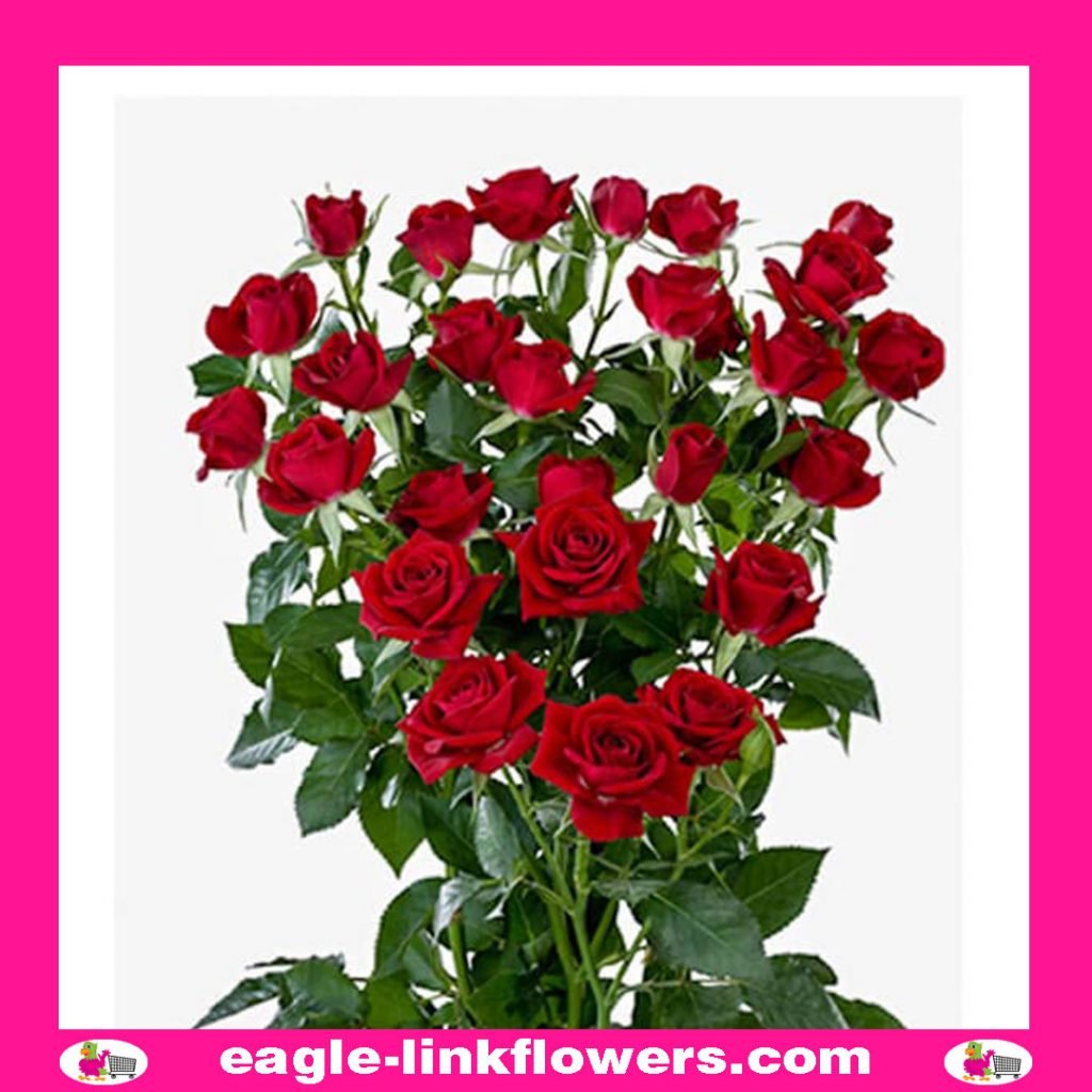 Eagle-Link Flowers Wholesale Flowers & Global Florist Supplier