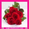Eagle-Link Flowers Wholesale Flowers & Global Florist Supplier