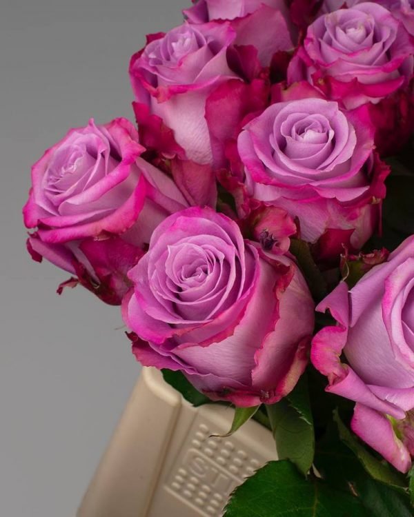 Maritim - Premium Roses - Eagle-Link Flowers